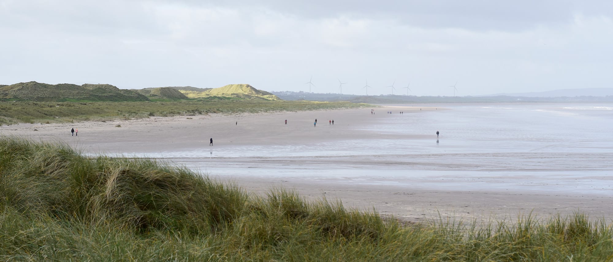 Join the Clean Coasts Roadshow in County Sligo, Ireland - Score